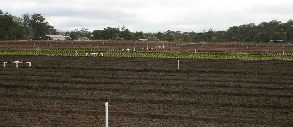 Irrigation - Midland Irrigation | Water is our life